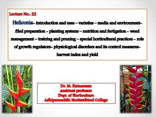 Heliconia - Species and Varieties - Production technology | PDF