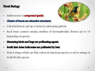 Heliconia - Species and Varieties - Production technology | PDF