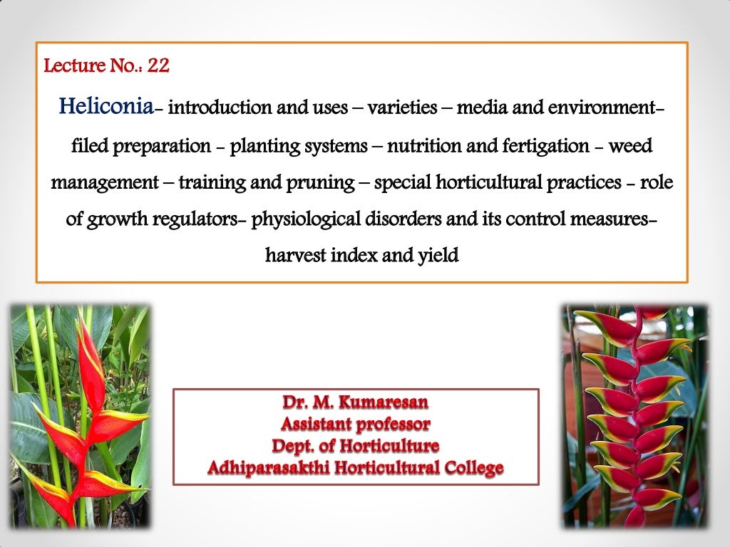 Heliconia - Species and Varieties - Production technology | PDF