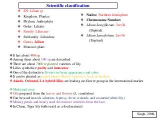 Lilium - species and Varieties - Production technology | PDF