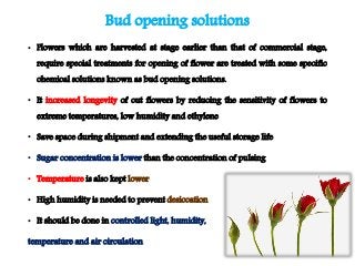 Cut Flower - Precooling , pulsing and holding techniques | PDF