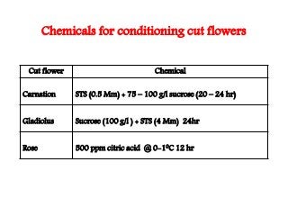 Cut Flower - Precooling , pulsing and holding techniques | PDF