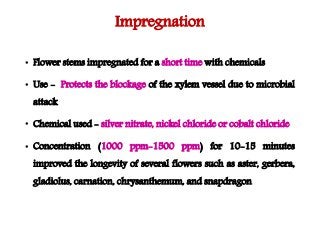 Cut Flower - Precooling , pulsing and holding techniques | PDF