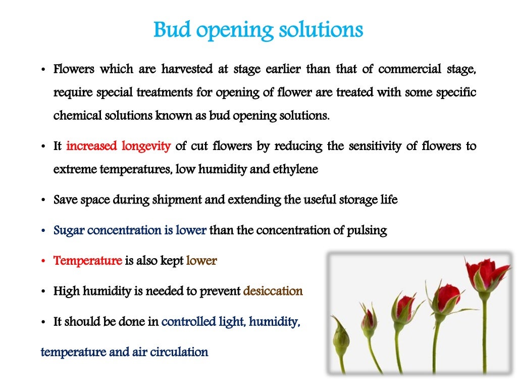 Cut Flower - Precooling , pulsing and holding techniques | PDF