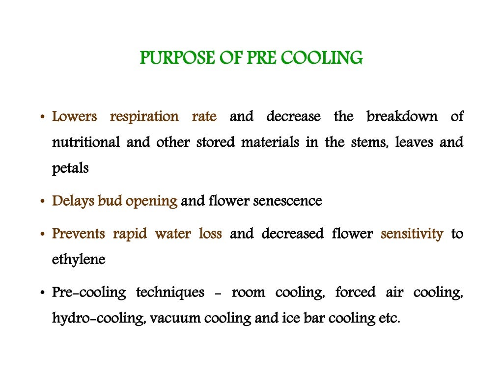 Cut Flower - Precooling , pulsing and holding techniques | PDF