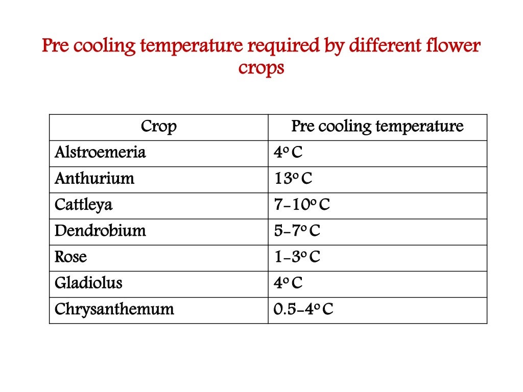 Cut Flower - Precooling , pulsing and holding techniques | PDF