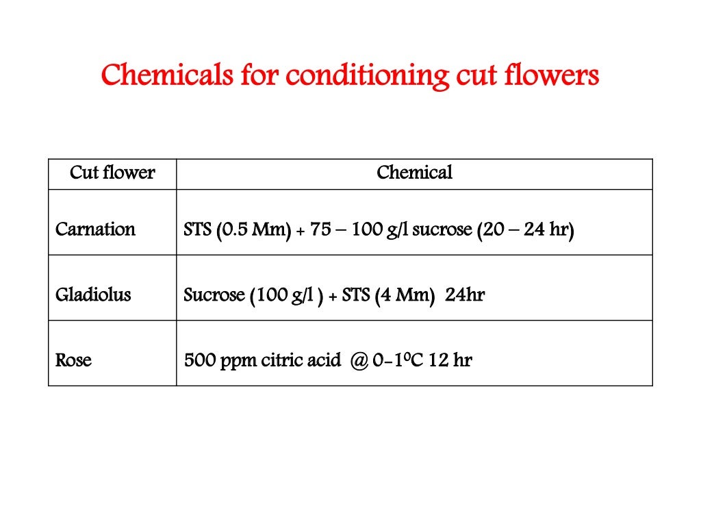 Cut Flower - Precooling , pulsing and holding techniques | PDF