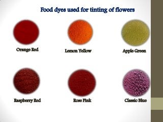 Tinting of cut flowers. | PDF