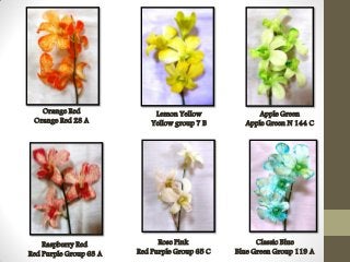 Tinting of cut flowers. | PDF