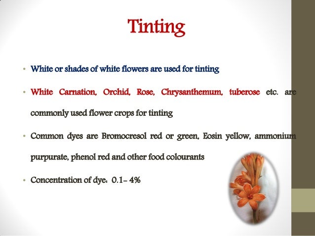 Tinting of cut flowers. | PDF
