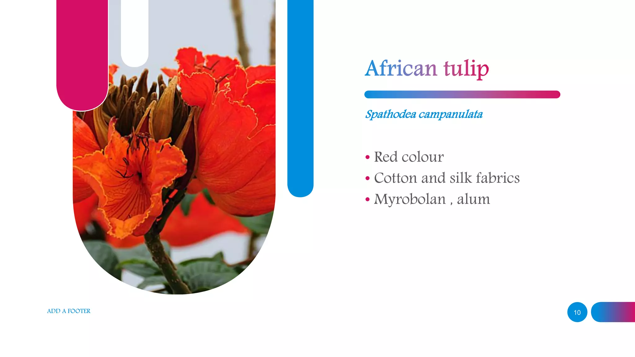 Methods of dye extraction from flower crops | PDF