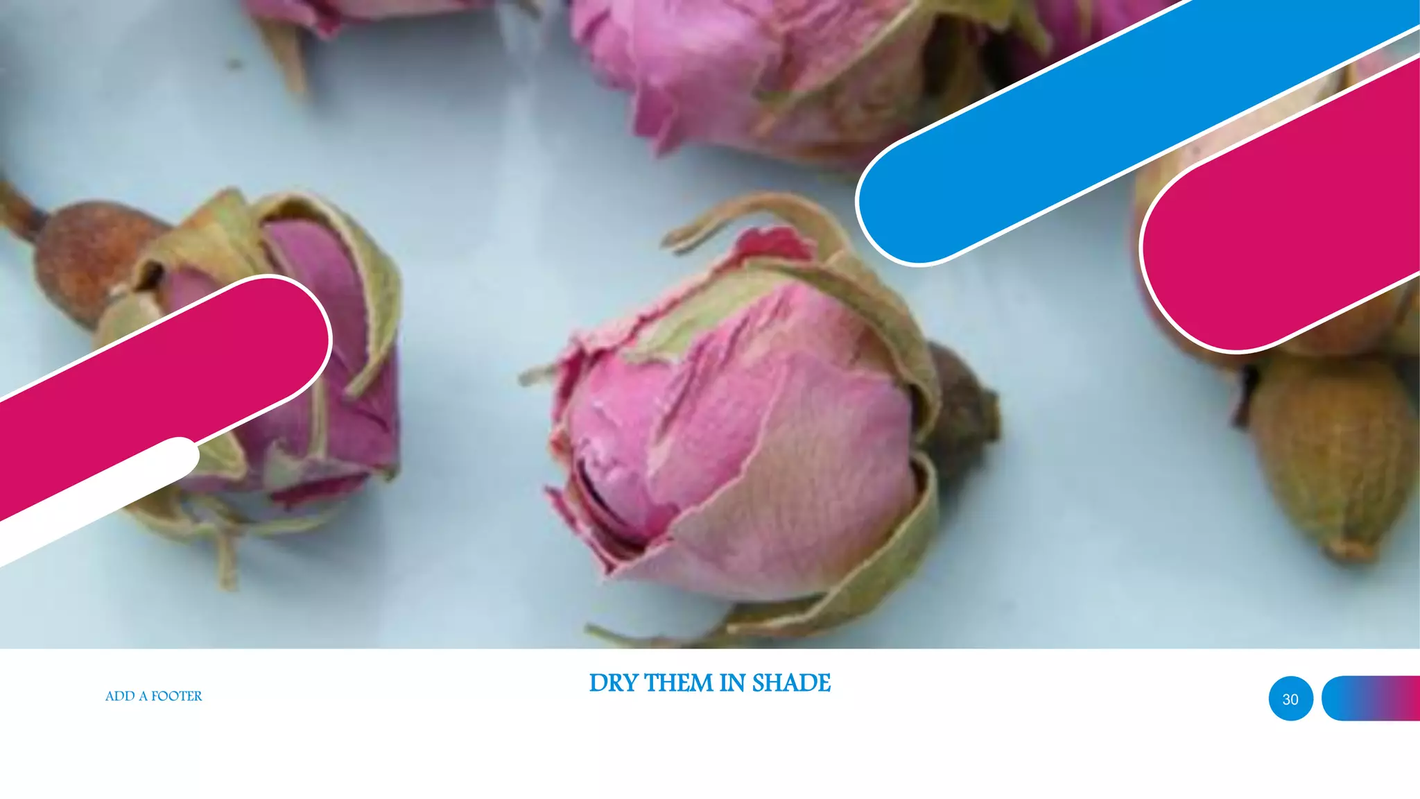 Methods of dye extraction from flower crops | PDF