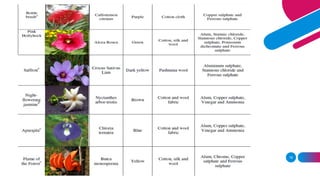 Methods of dye extraction from flower crops | PDF