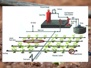 Design, layout and installation of drip and fertigation in precision ...