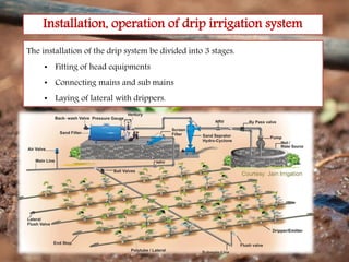 Design, layout and installation of drip and fertigation in precision ...