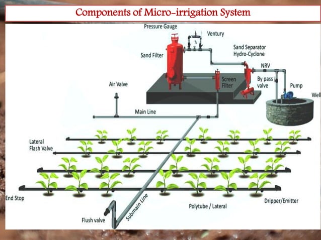 Design, layout and installation of drip and fertigation in precision ...
