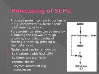 Single cell protein production of algal biomass | PDF
