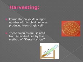 Single cell protein production of algal biomass | PDF