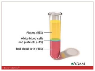 clinical chemistry - blood Analysis | PPTX