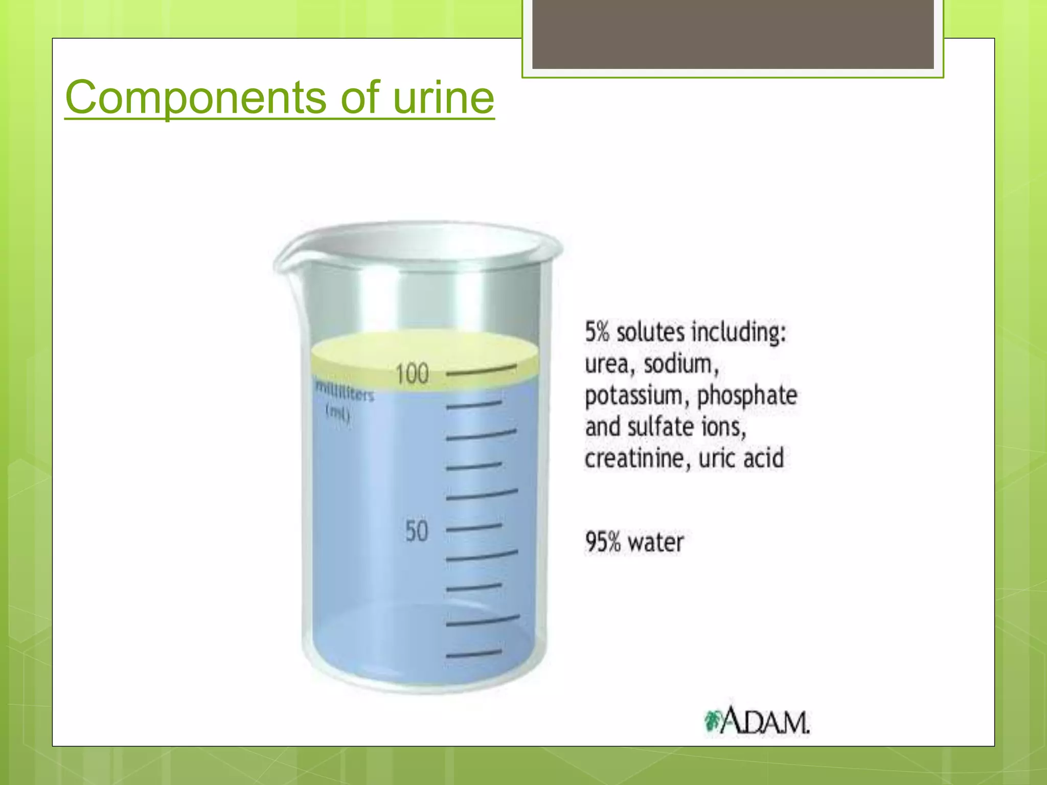 Clinical Chemistry urinalysis | PPT