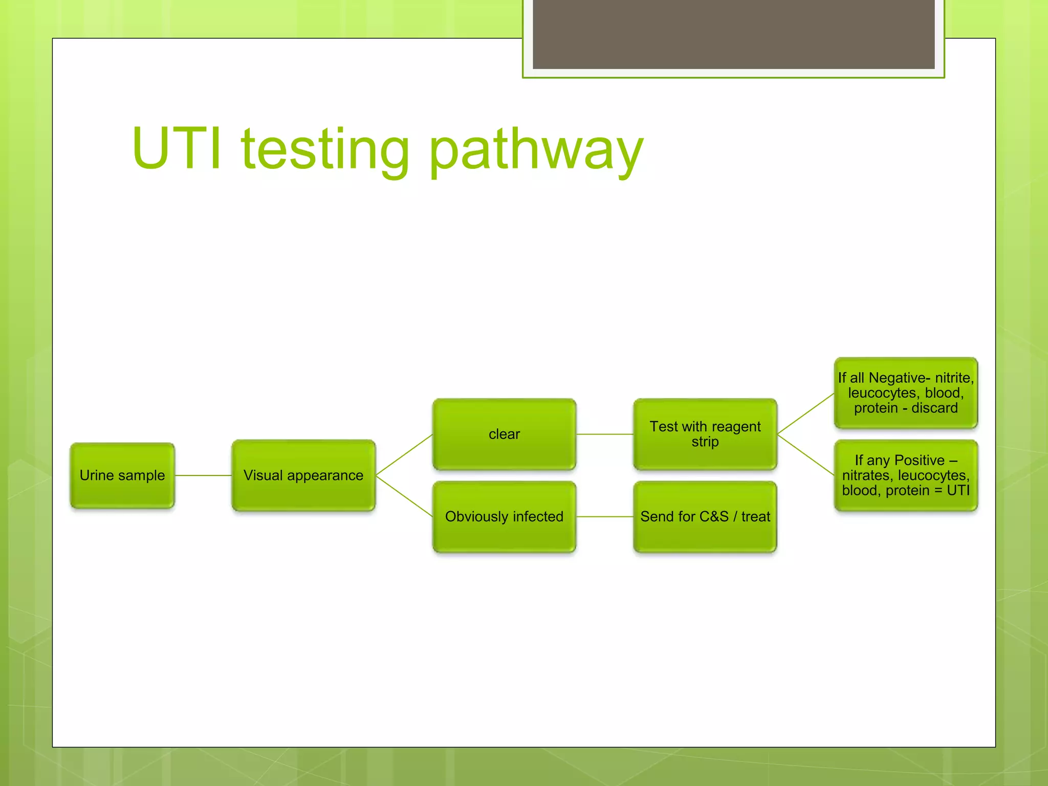 Clinical Chemistry urinalysis | PPT