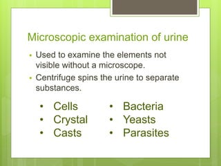 Clinical Chemistry urinalysis | PPT