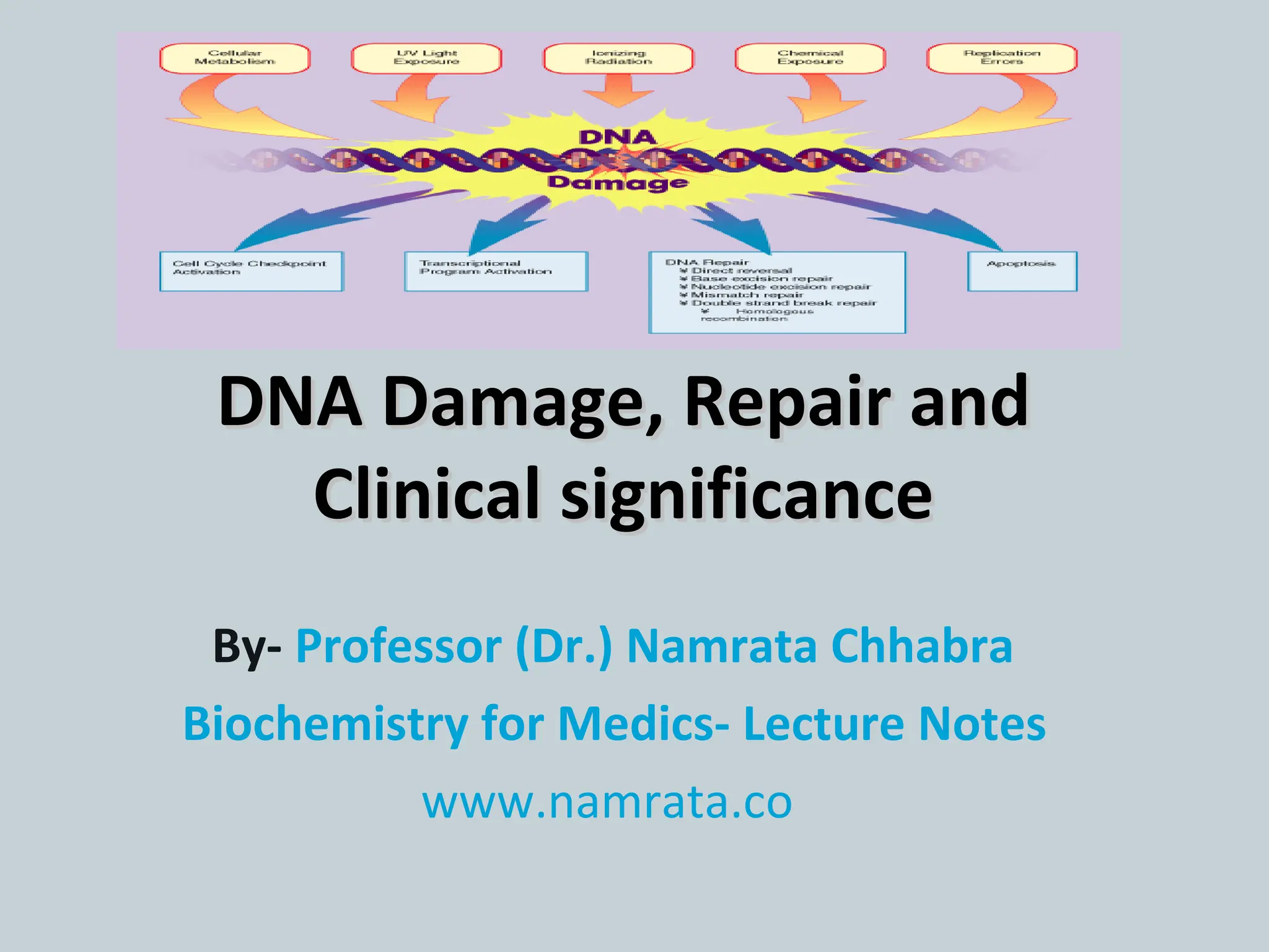 DNA damage and Repair mechanism and types | PDF