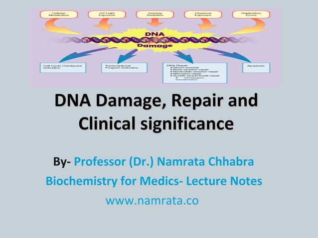 DNA damage and Repair mechanism and types | PDF | Chemistry | Science