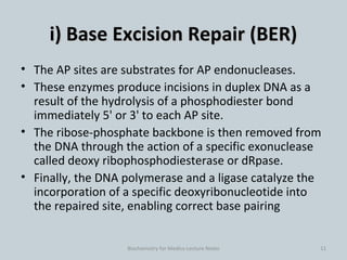 DNA damage and Repair mechanism and types | PDF