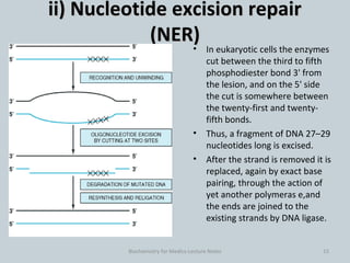 DNA damage and Repair mechanism and types | PDF