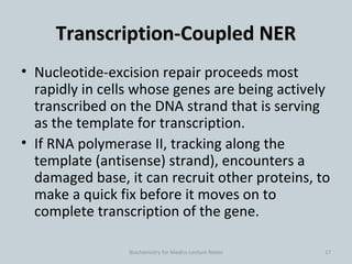 DNA damage and Repair mechanism and types | PDF