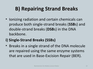 DNA damage and Repair mechanism and types | PDF