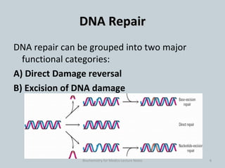 DNA damage and Repair mechanism and types | PDF