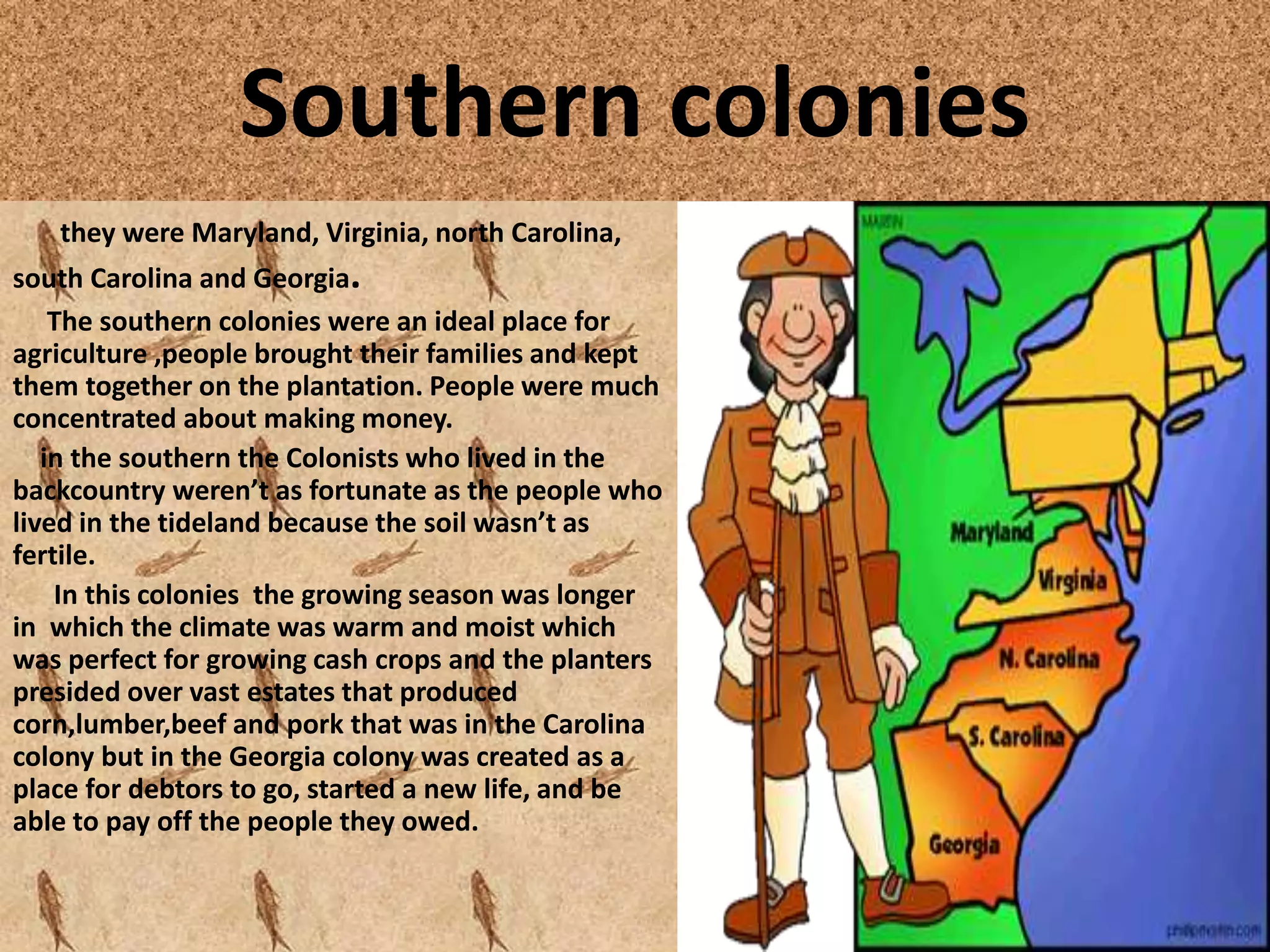 the 13 colonies | PPTX