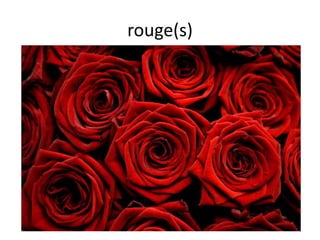 Lecon 12 les couleurs | PPTX