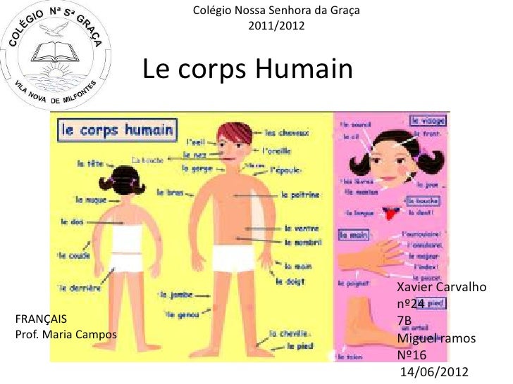 Le corps Humain Xavier et Miguel 7B