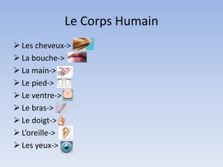 Le corps humain par Tiago et Francisco 7ºC | PPTX