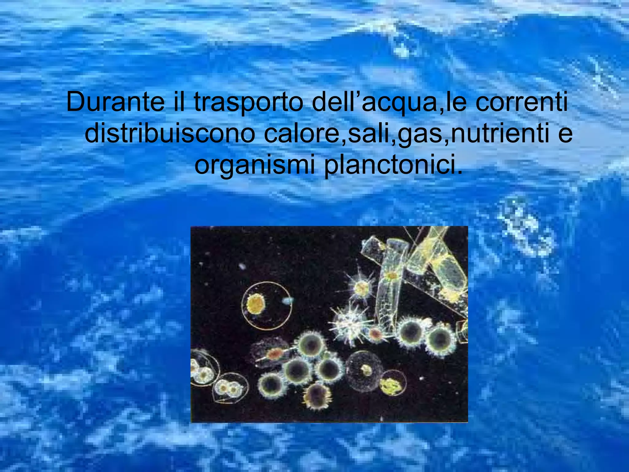 Le correnti marine | PPT