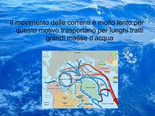 Le correnti marine | PPT