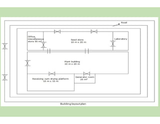 Seed processing and layout plan | PDF