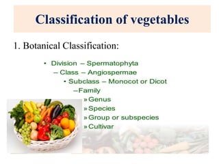 Role of Vegetables in Human Nutrition and National Economy | PPTX