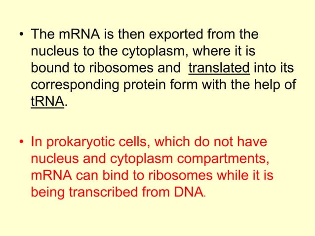 lect-1-Basics-of-Molecular-Biology.ppt | Free Download