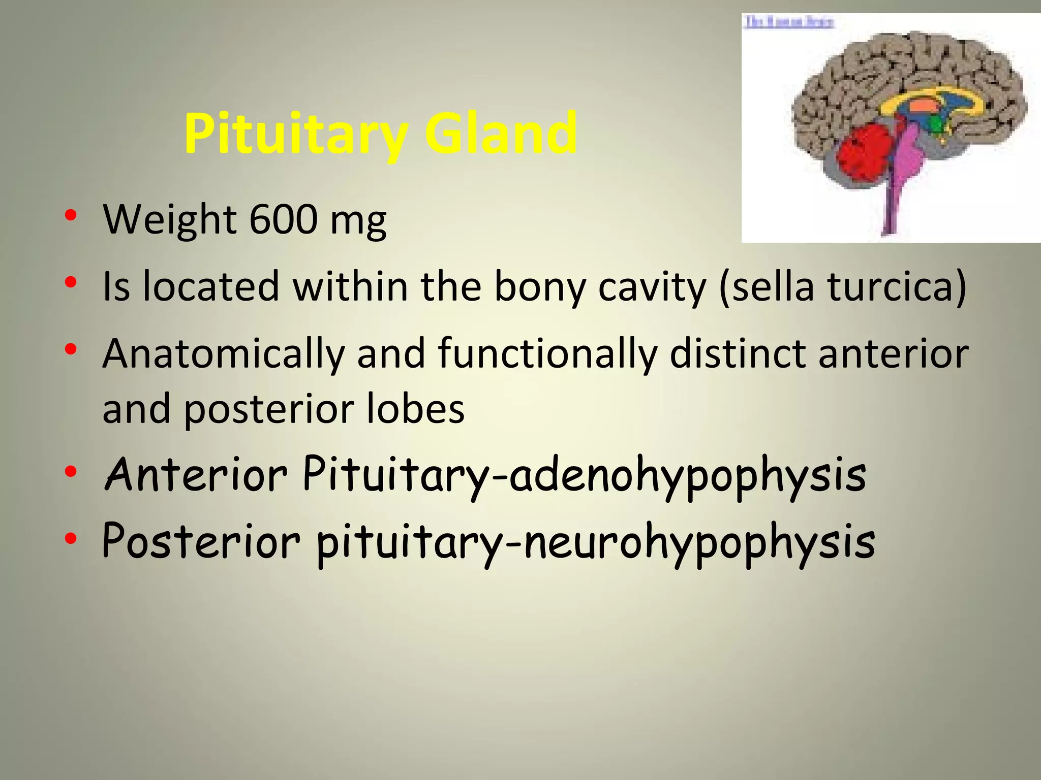 Lect 1-pituitary insufficiency | PPT