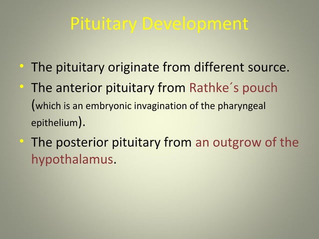 Lect 1-pituitary insufficiency | PPT