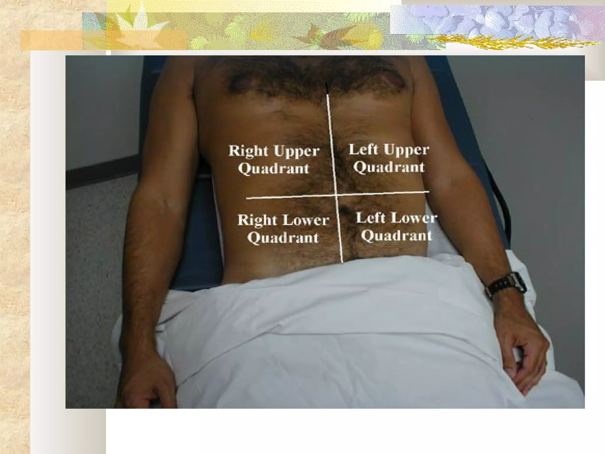 abdominal assessment | PPT