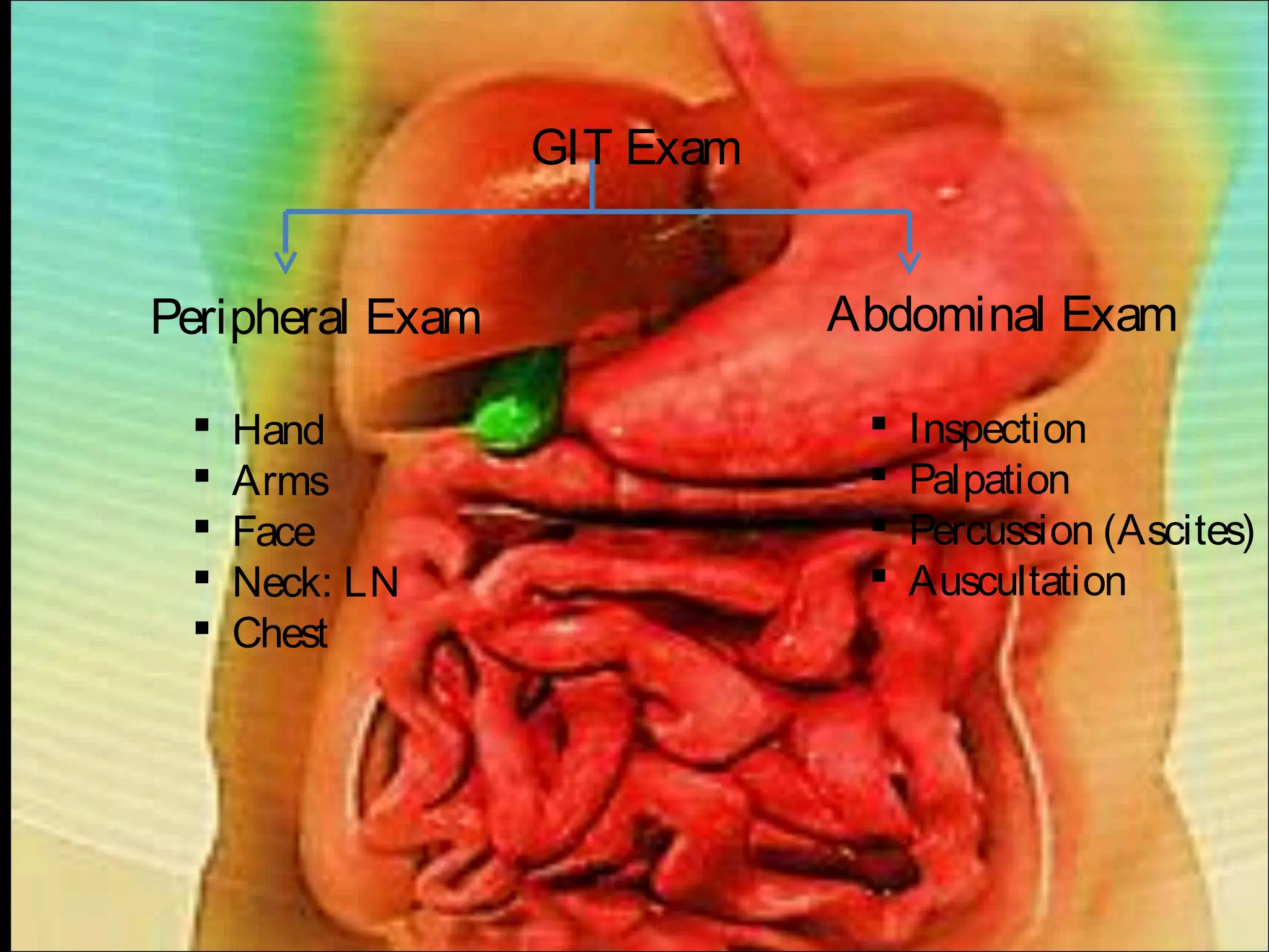 abdominal assessment | PPT