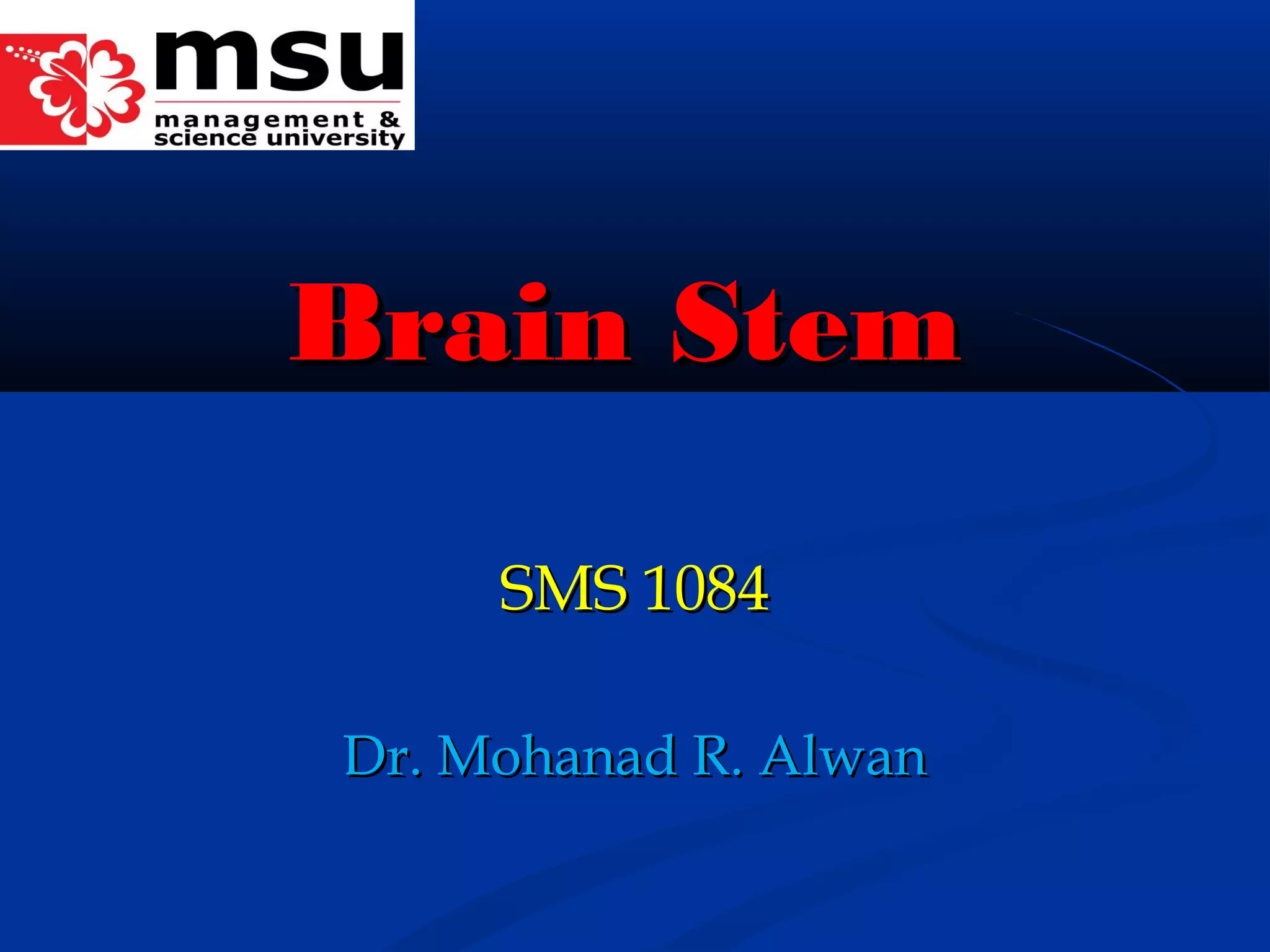Lect -brainstem | PPT