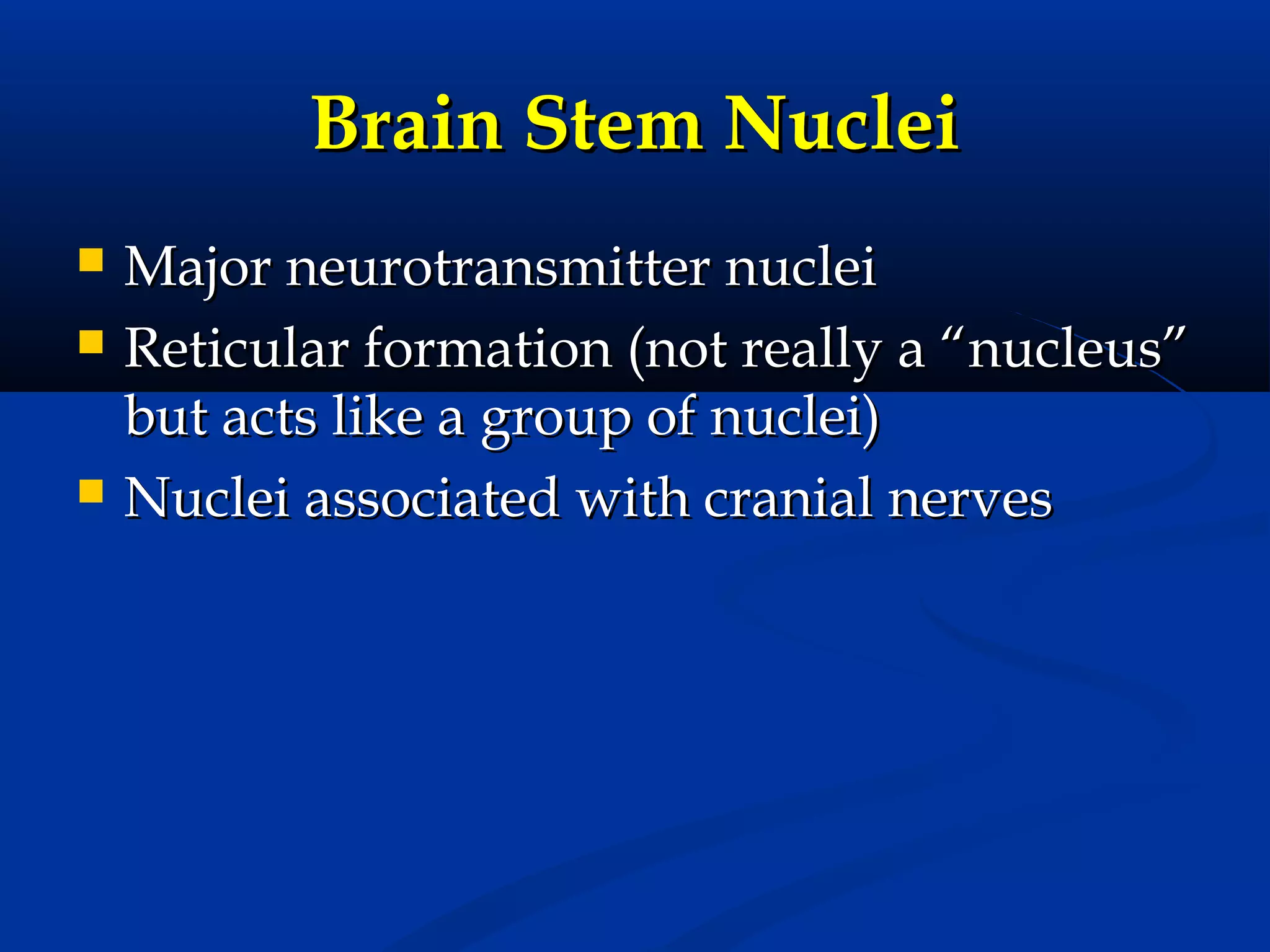 Lect -brainstem | PPT