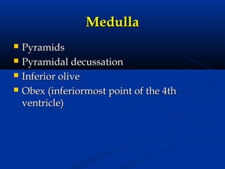 Lect -brainstem | PPT