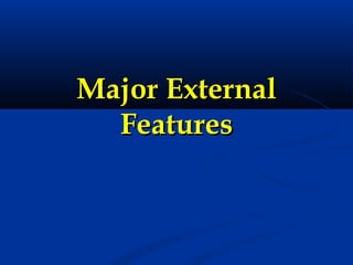 Lect -brainstem | PPT